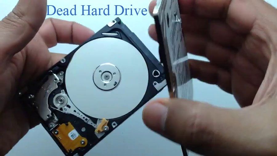 Here’s How to Clean Up Your Hard Drive | ZoHa Islands - Second Life ...